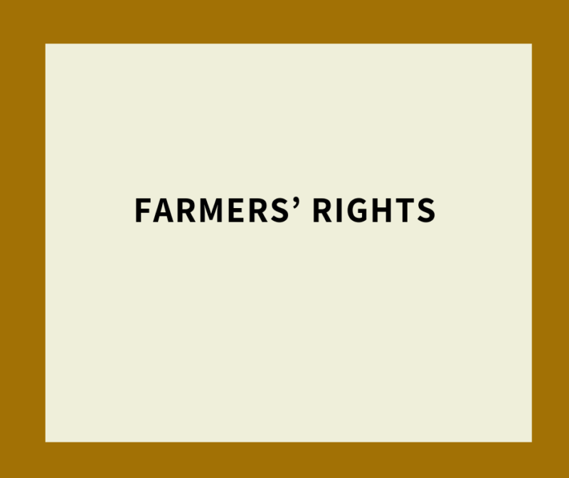 Farmers Rights in Africa: An Interview with Andrew Mushita - Flora IP